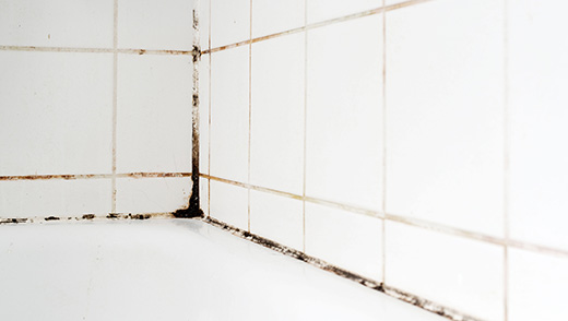 How to Clean Mildew and Mold in Your Bathroom